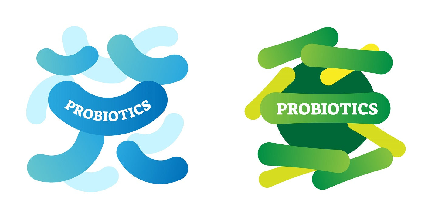 Top 5 Things to Look for When Choosing a Probiotic - Omax Health