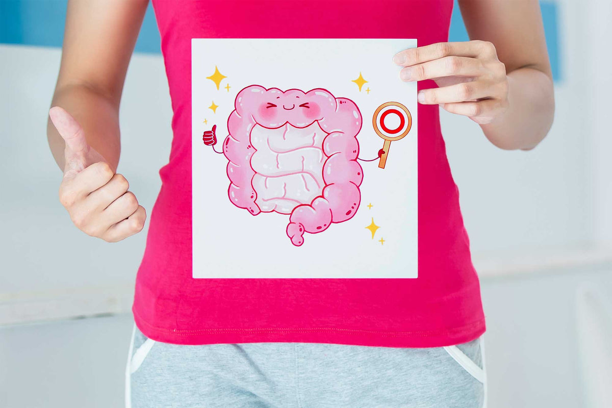 Probiotics 101: Your Guide to Maximizing Gut Health – Omax Health